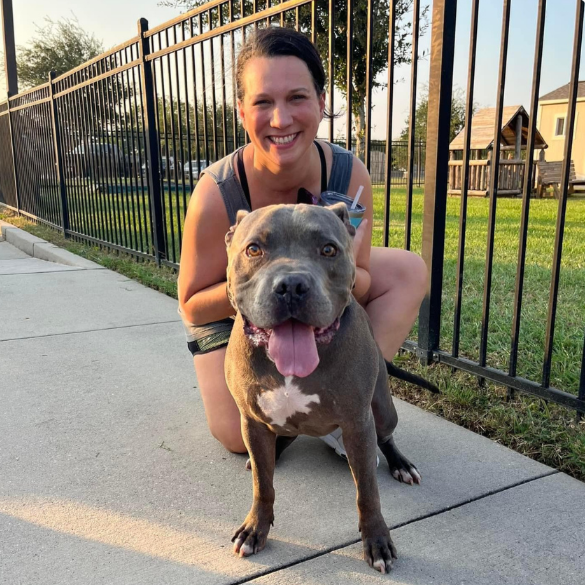 About – Three Little Pitties Rescue