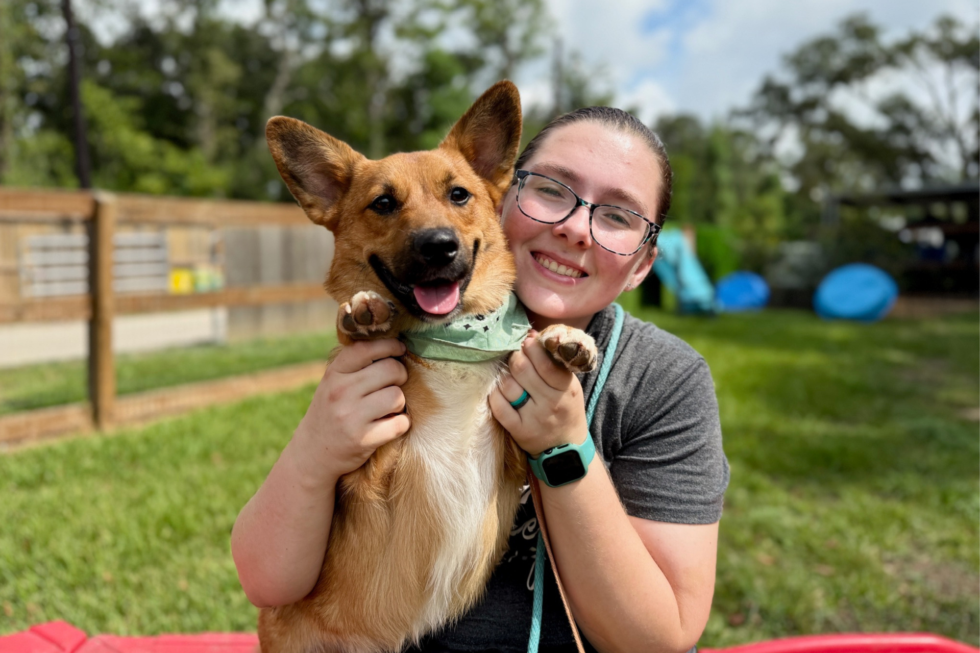 Three Little Pitties Rescue | Saving Lives, One Pet at a Time