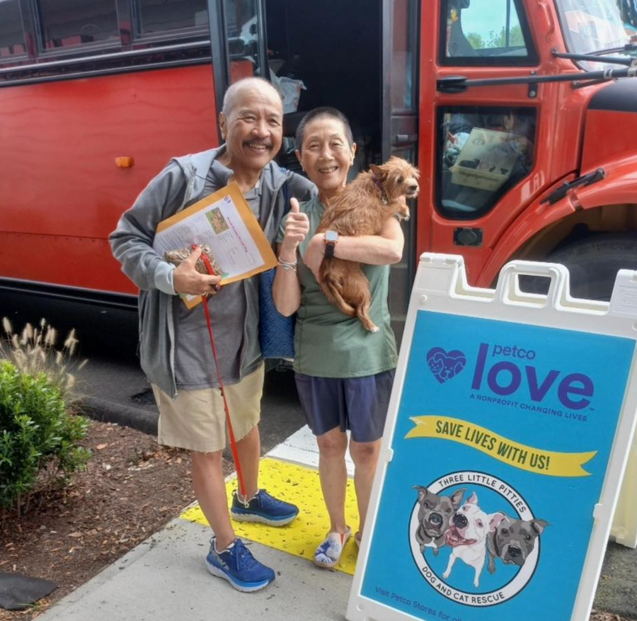 Adopt – Three Little Pitties Rescue